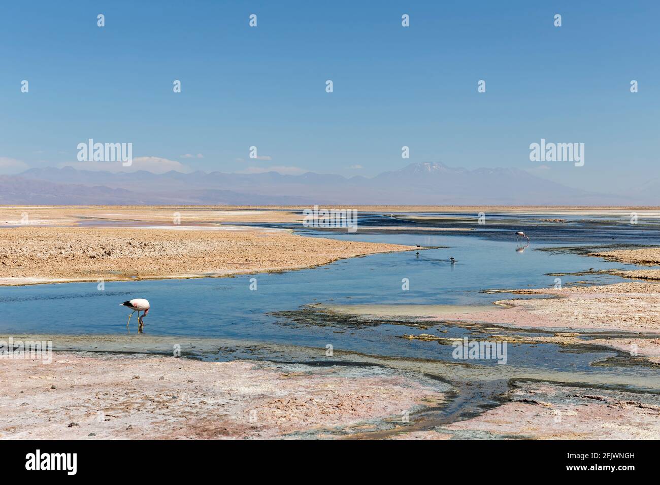 Beautiful landscape of the Chaxa Lagoon Laguna with reflection of ...