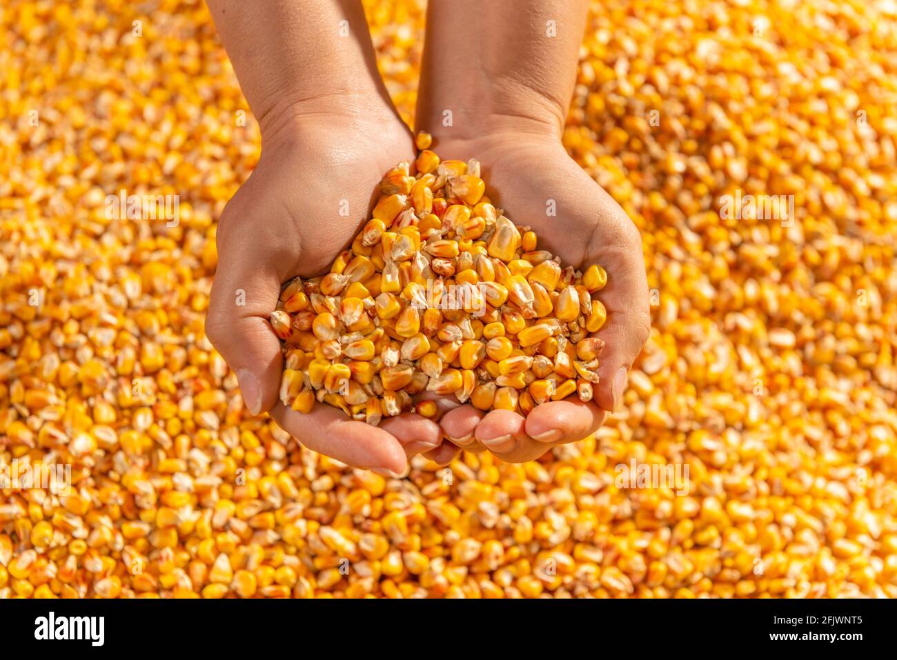 Giving seeds hi-res stock photography and images - Alamy