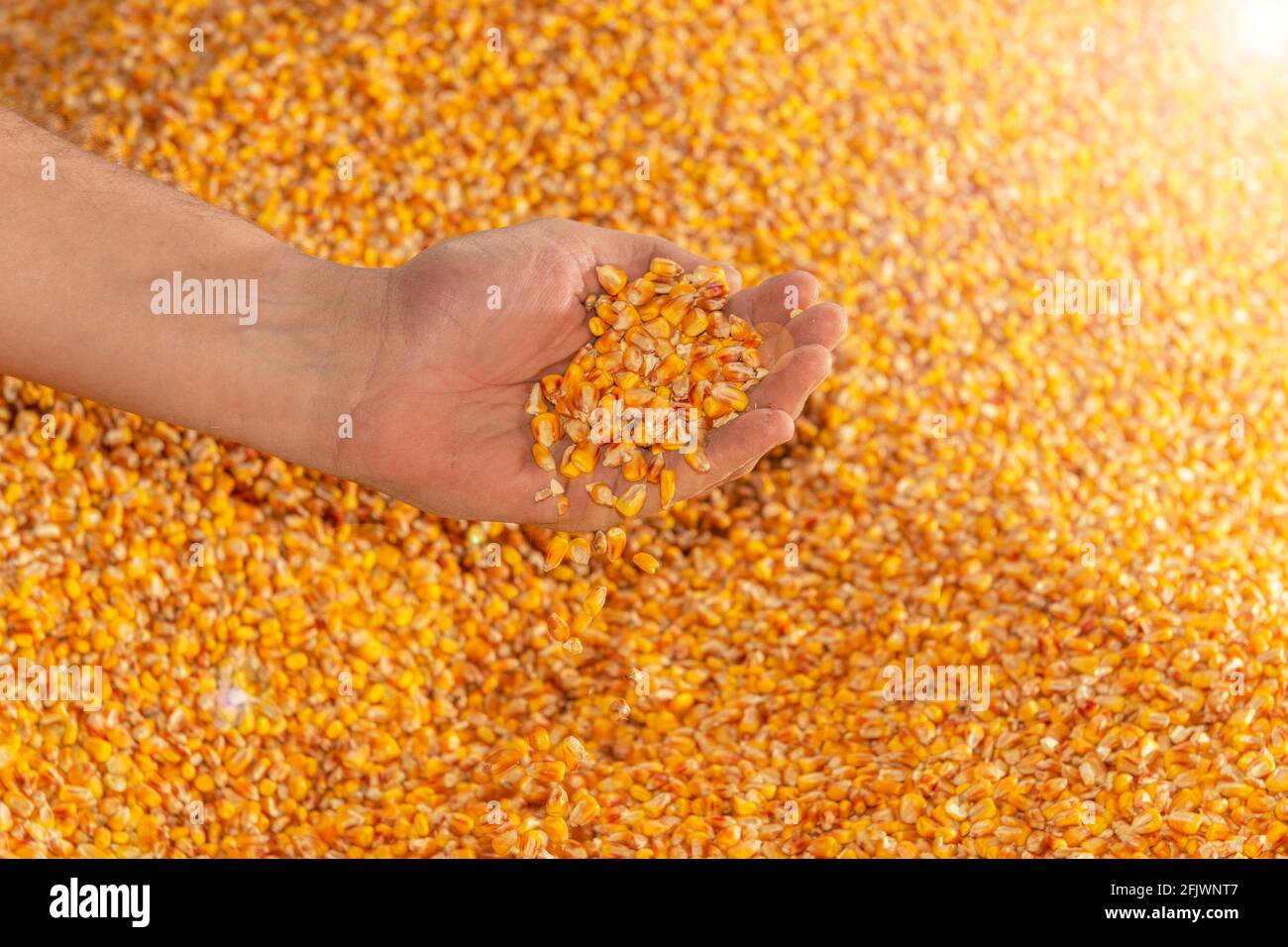 Pouring seeds hi-res stock photography and images - Alamy
