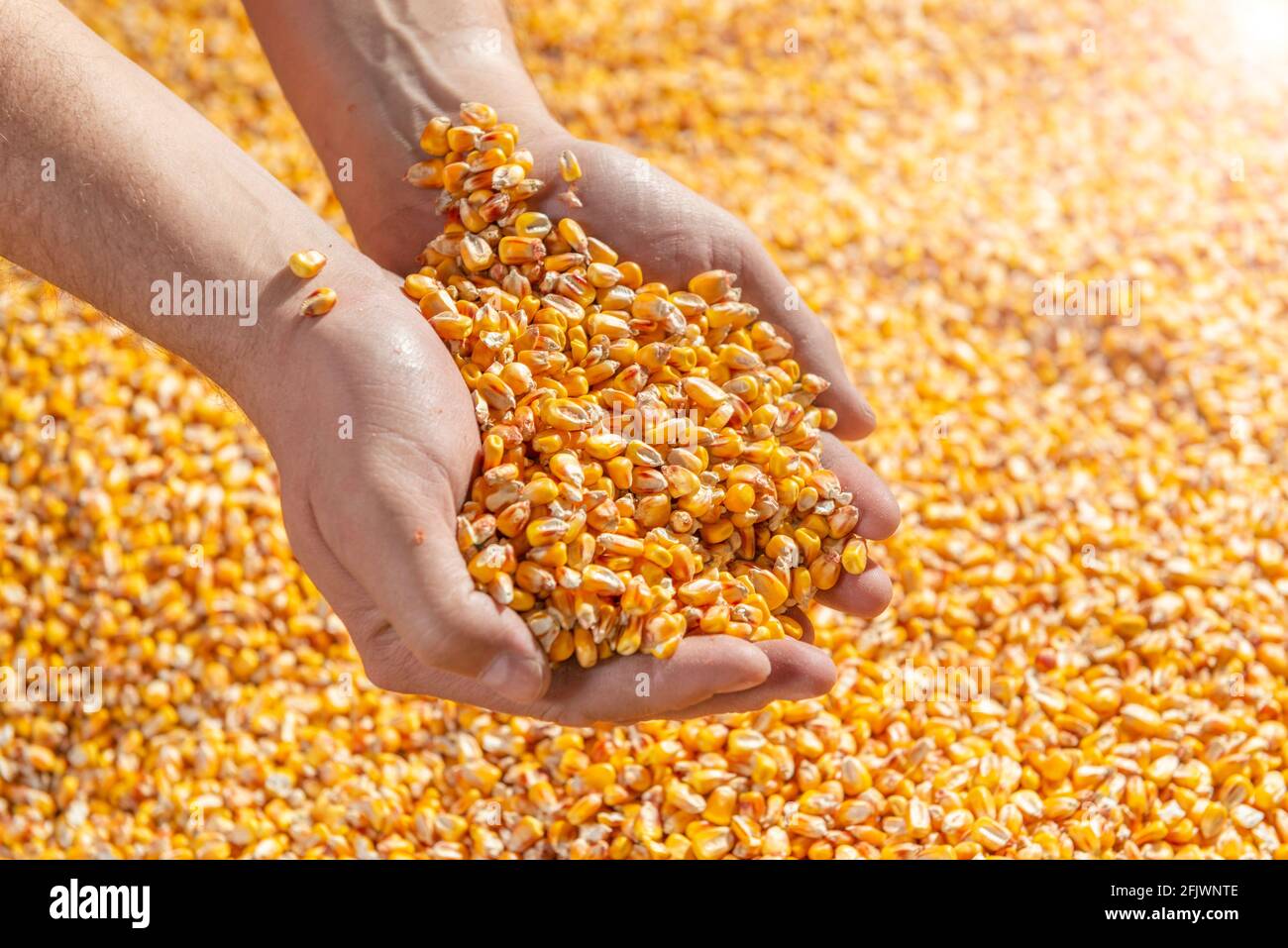 Handful of seeds hi-res stock photography and images - Alamy