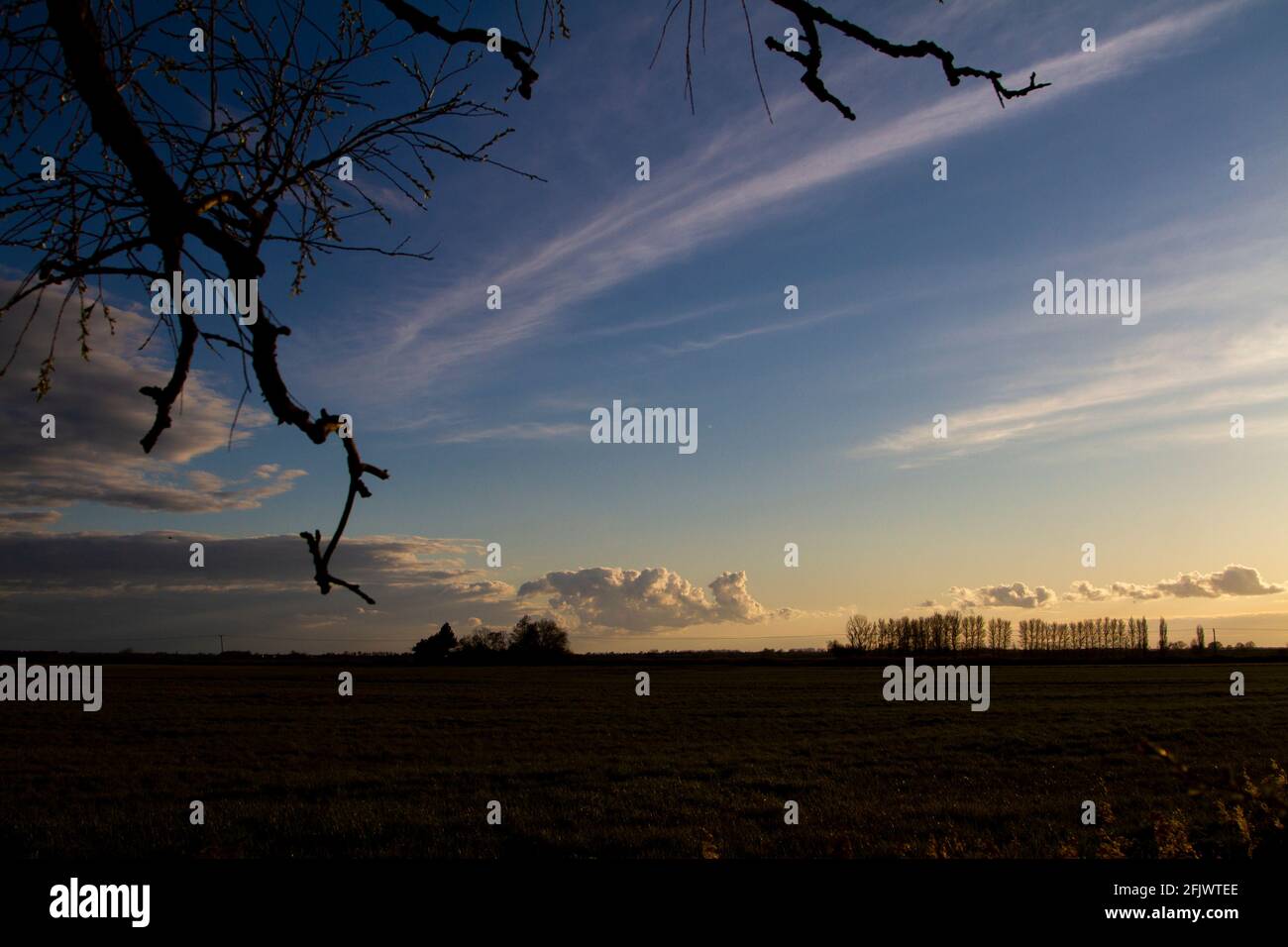 Fenland landscape hi-res stock photography and images - Alamy