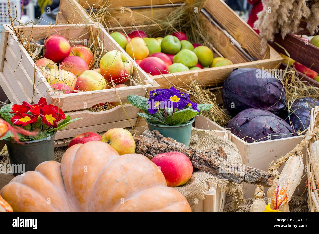 local fair is a festival of harvest of vegetables and fruits grown on ...