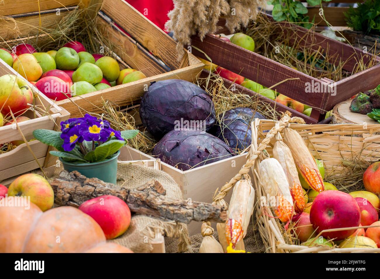local fair is a festival of harvest of vegetables and fruits grown on ...