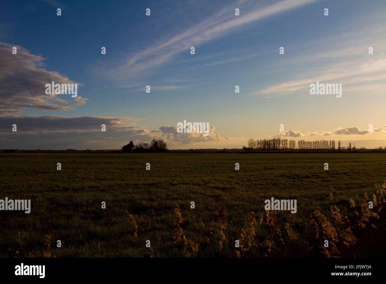 Fenland landscape hi-res stock photography and images - Alamy