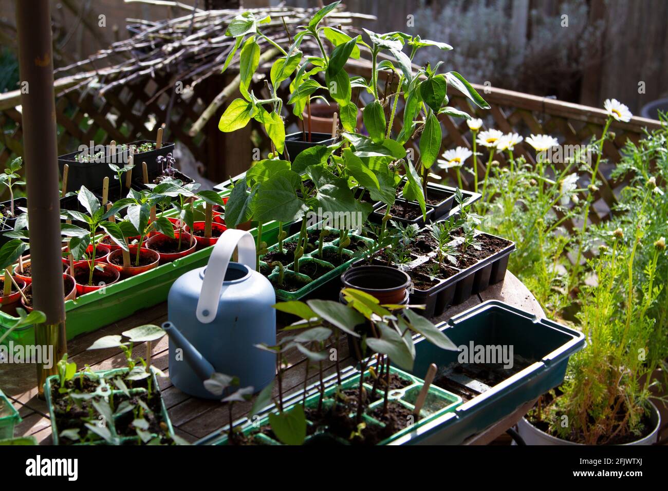 Getting the garden ready in spring hi-res stock photography and images ...