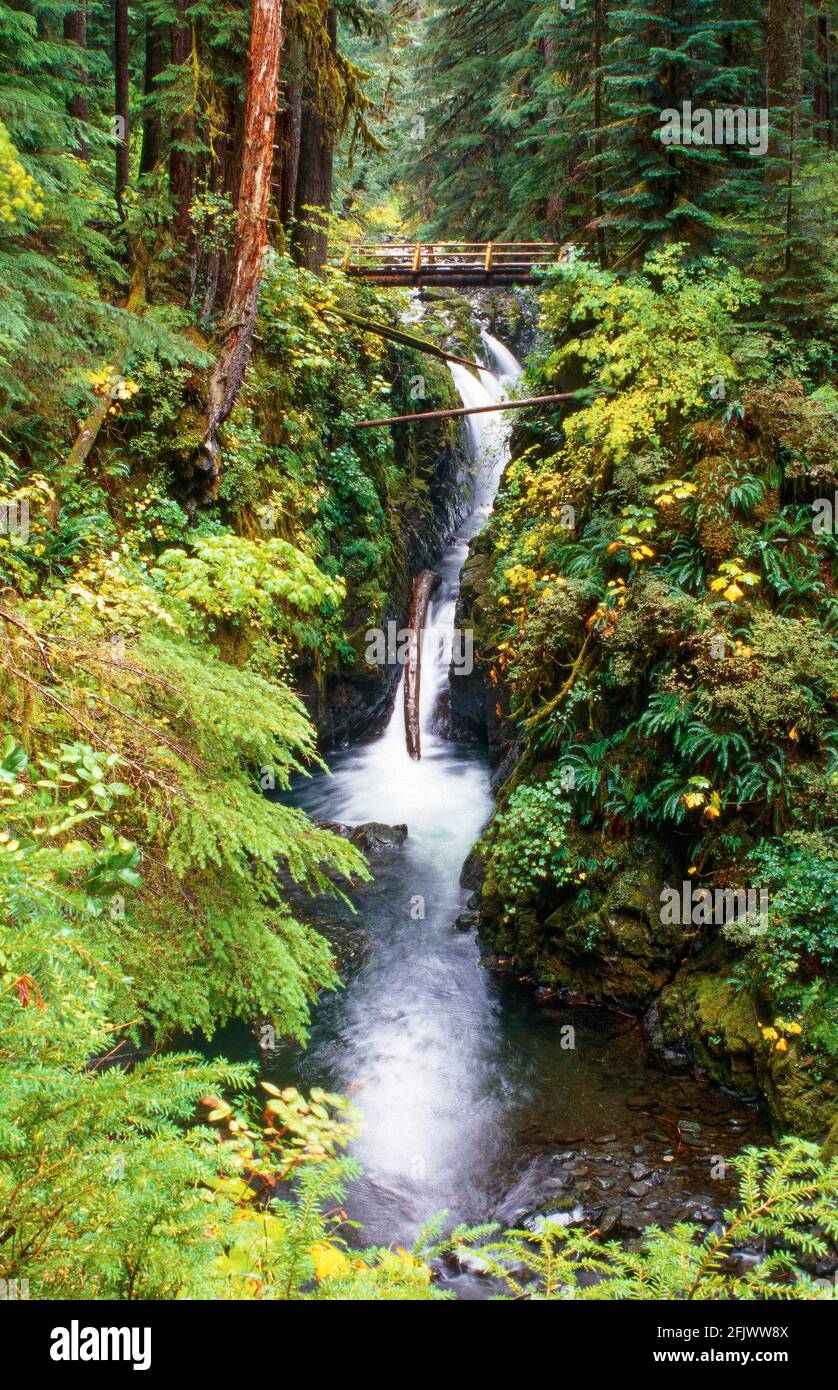 Sol Duc Falls Stock Photo - Alamy