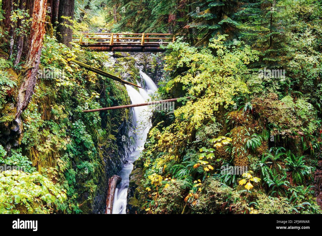 Sol duc falls hike hi-res stock photography and images - Alamy