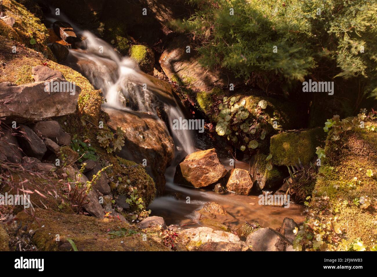Small waterfall with foliage, slow running patterns in nature Stock ...
