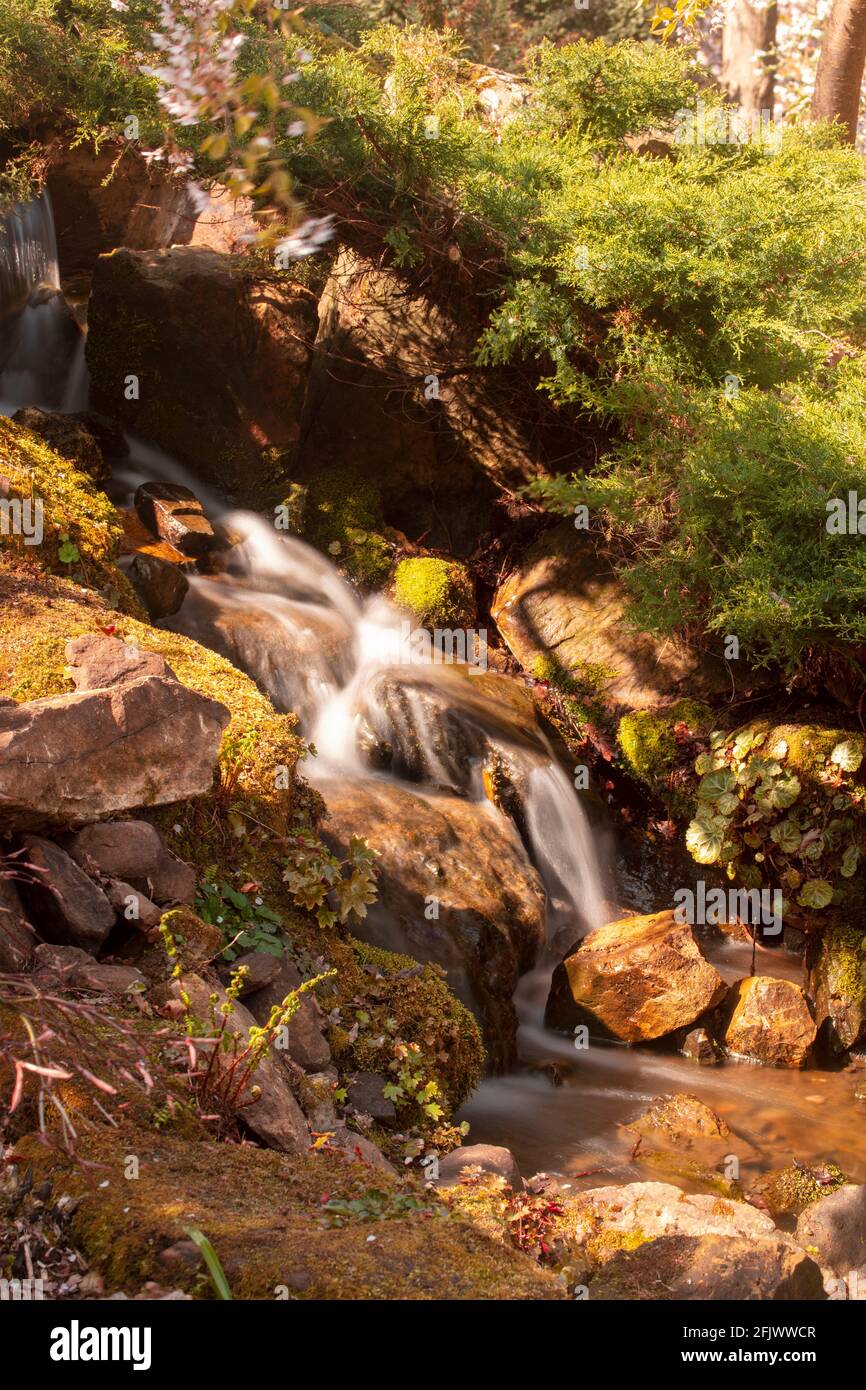 Small waterfall with foliage, slow running patterns in nature Stock ...