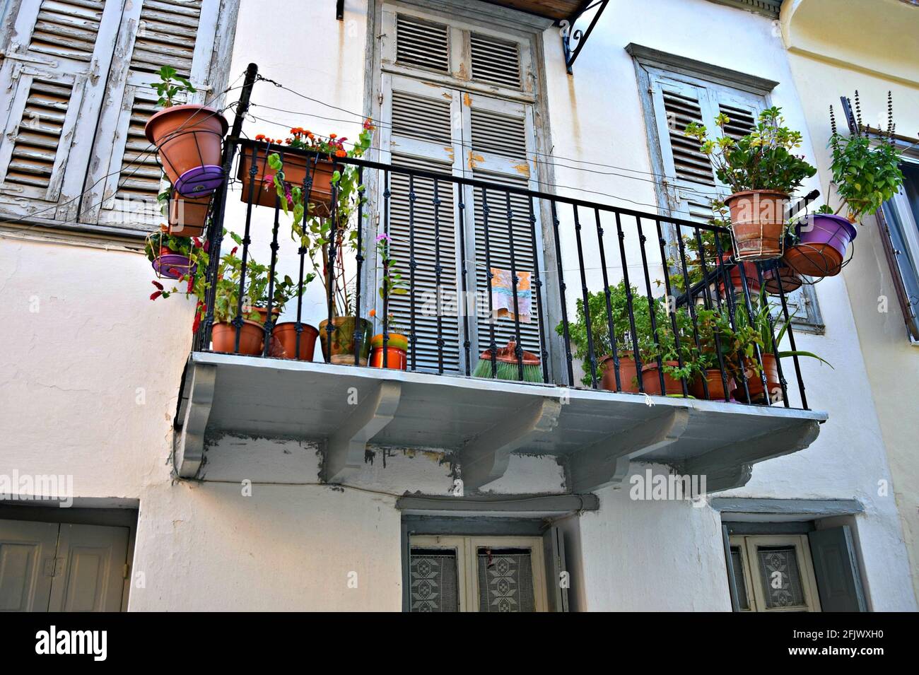 Neoclassical house facade with a whitewashed wall, grey wooden shutters ...