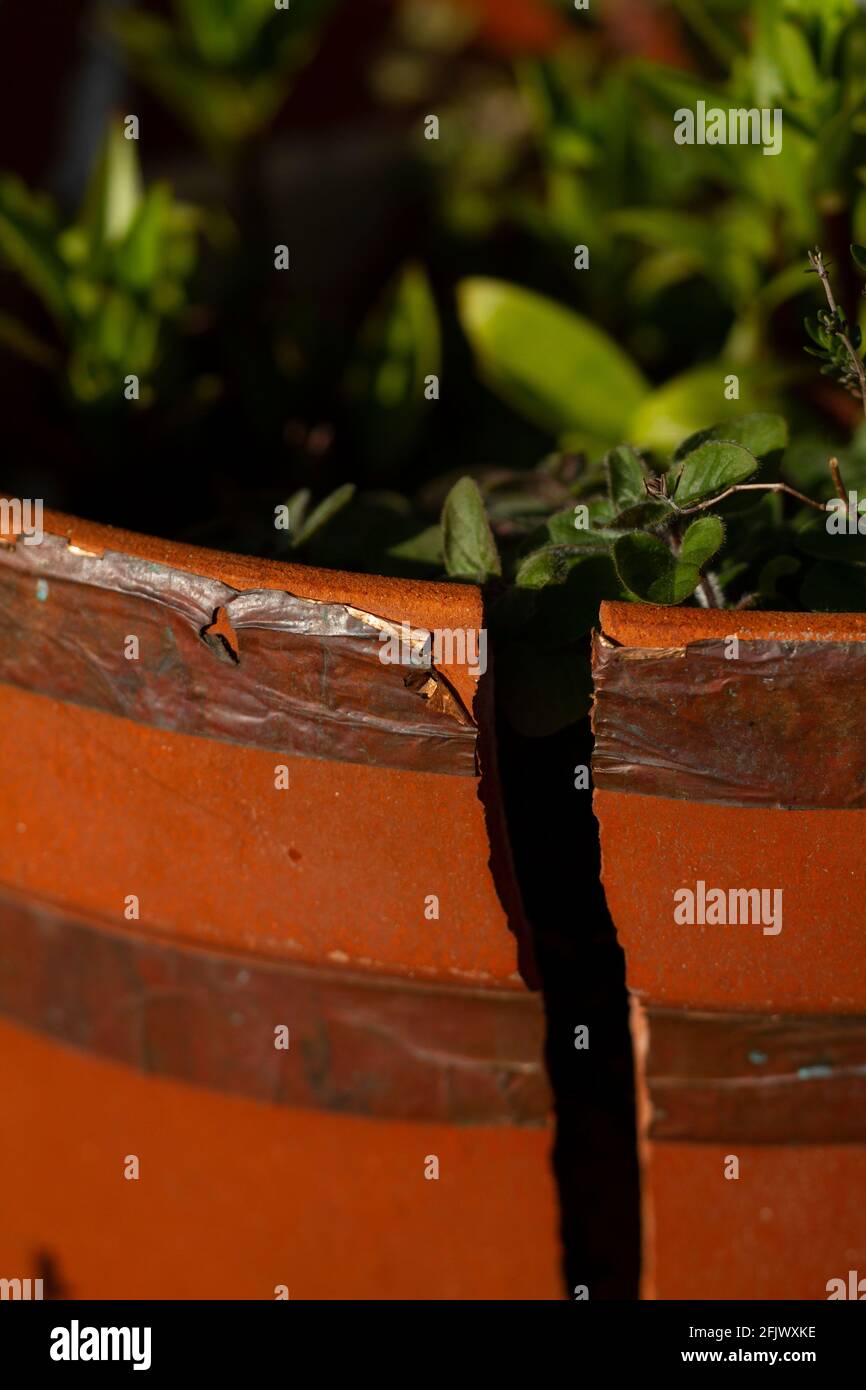 Slug copper pot hi-res stock photography and images - Alamy