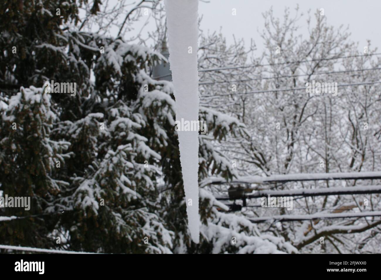Heavy Wet Spring Snow Stock Photo - Alamy