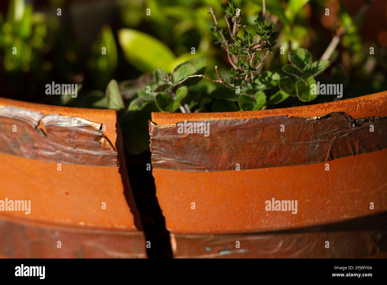 Cracked pot hi-res stock photography and images - Alamy