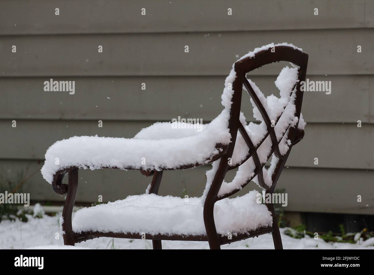 Heavy Wet Spring Snow Stock Photo - Alamy