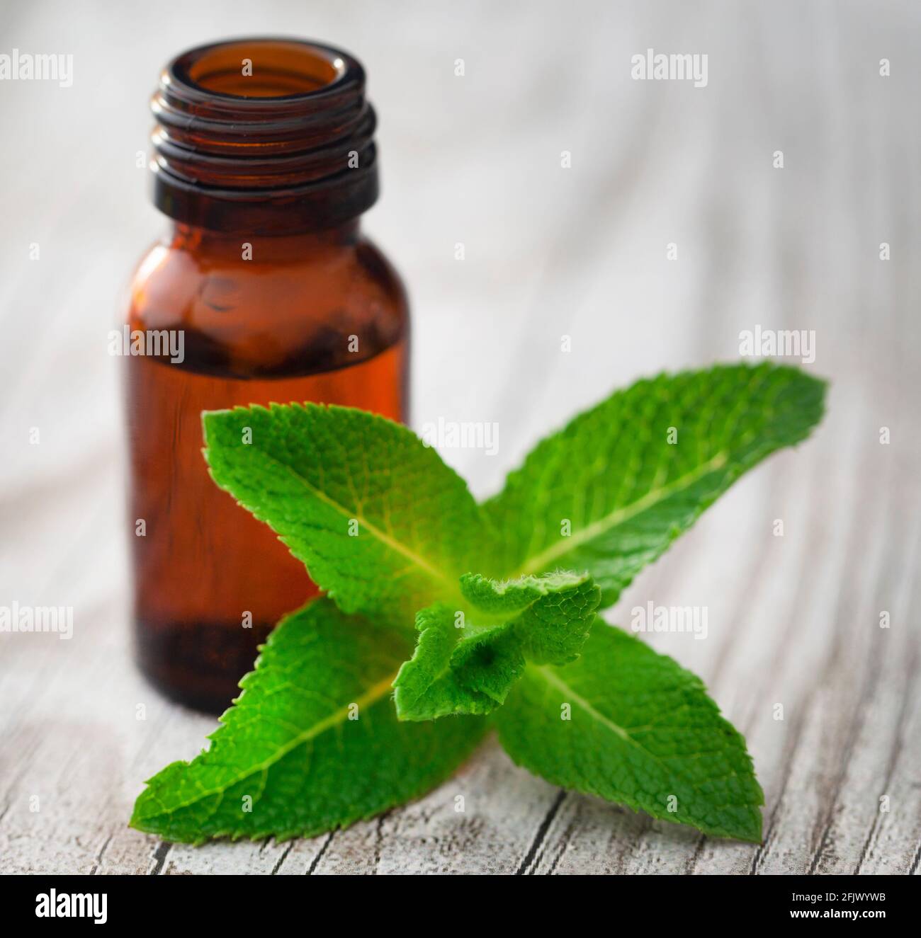 Mint oil beauty hi-res stock photography and images - Alamy