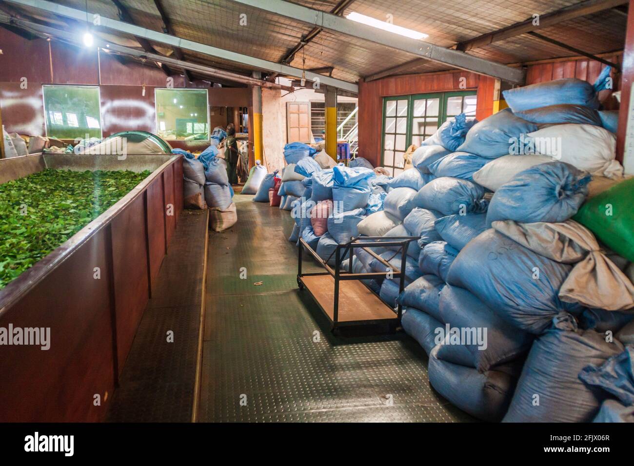 Geragama tea factory hi-res stock photography and images - Alamy