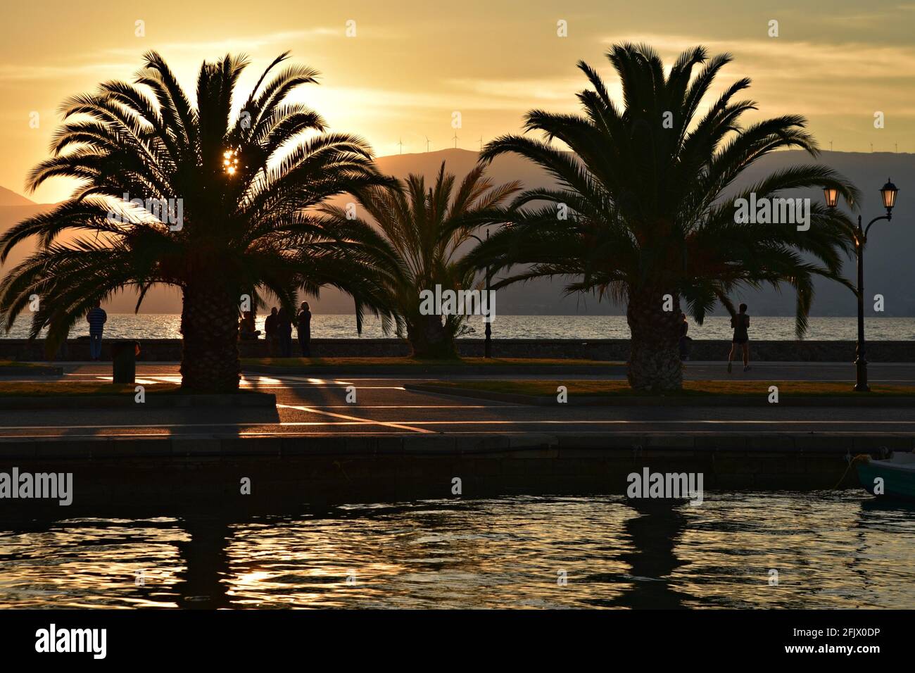 Sunset landscape with palm tree and people silhouettes at the Old Port ...