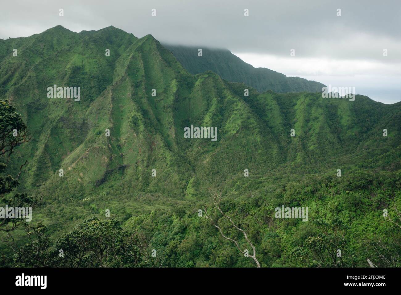 View from the summit of the Koolau Mountain range on the island of Oahu ...