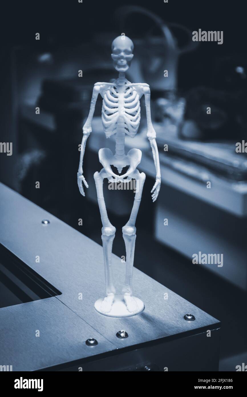Object human skeleton printed by 3d printer Stock Photo - Alamy