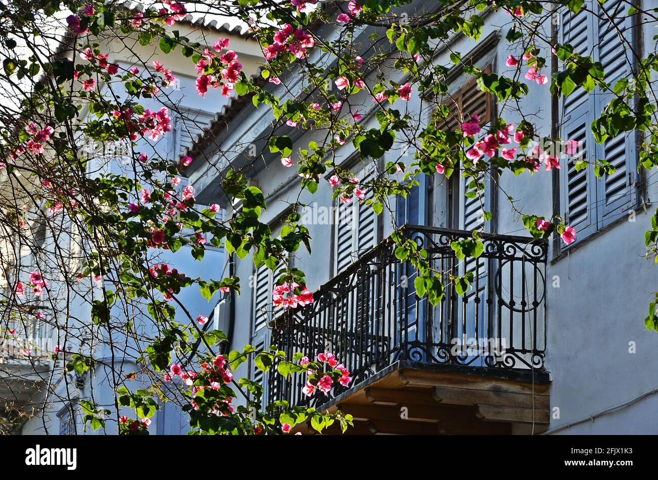 Neoclassical house facade with wooden shutters, iron balcony railing ...