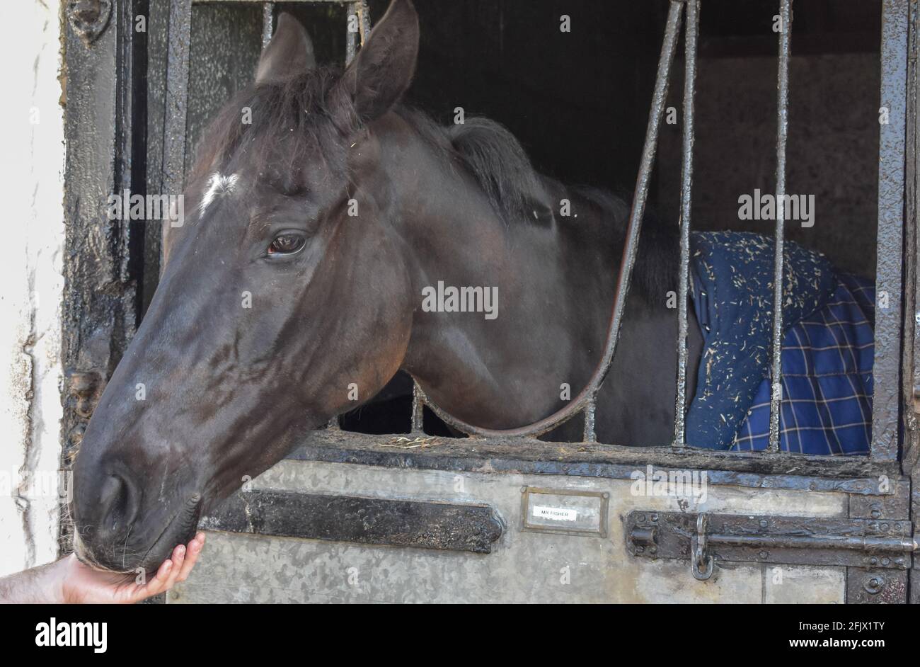 A Look Back At The Greatest National Hunt Horses Of The Past