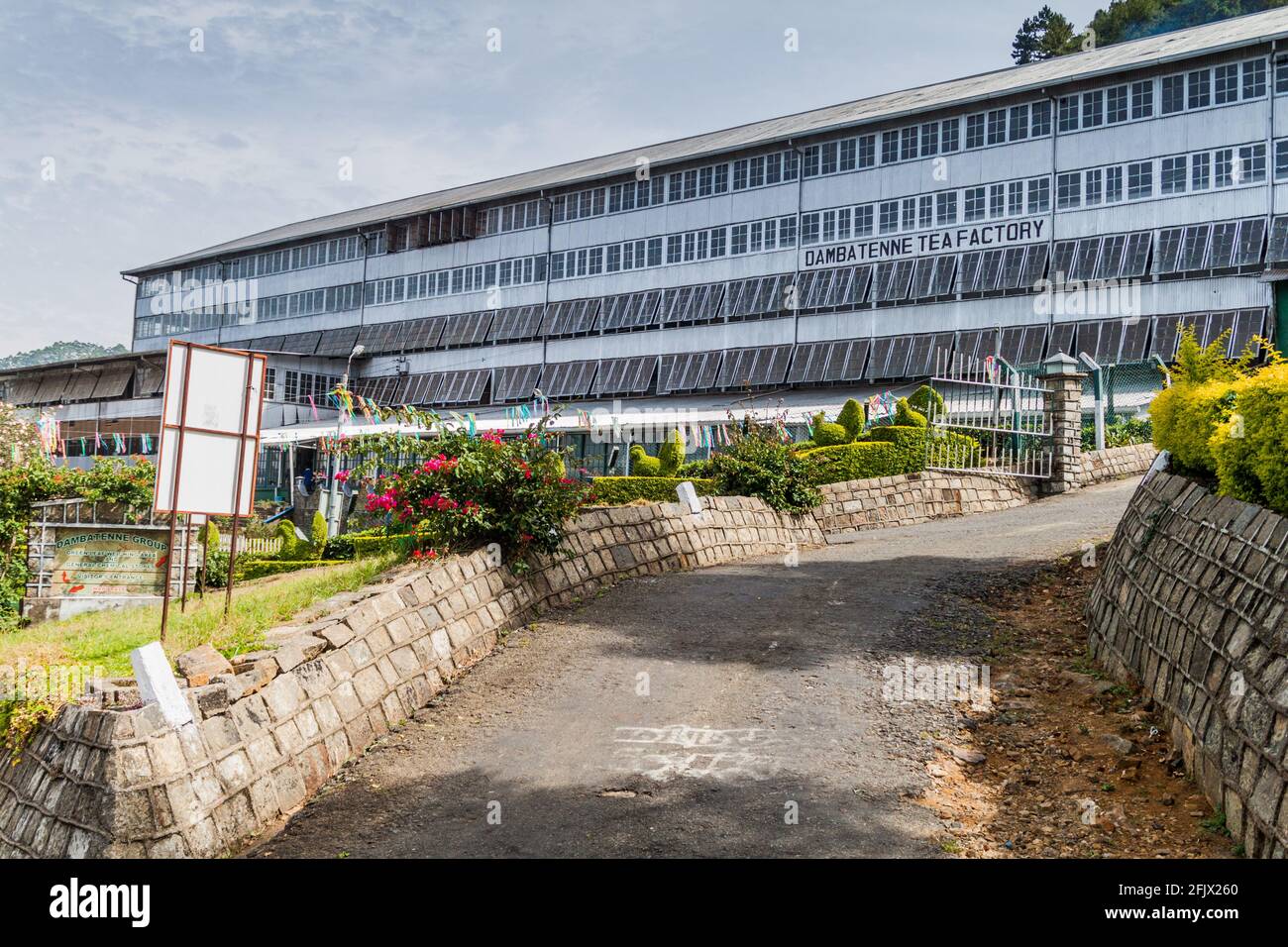 Tea manufacturing hi-res stock photography and images - Alamy