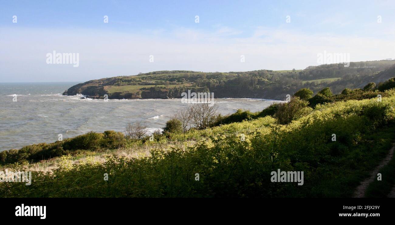 Rugged Devon views on the South West Coastal path Stock Photo - Alamy