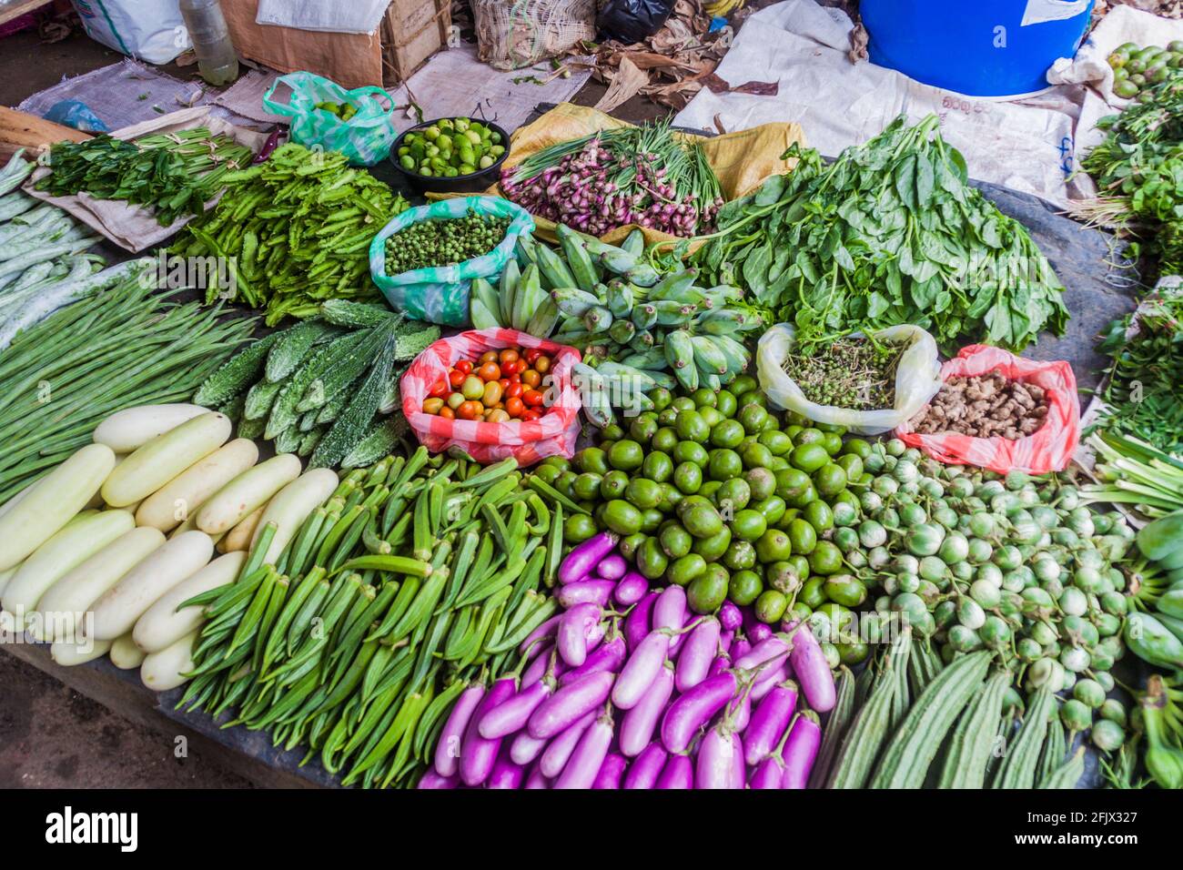 Vegetables of sri lanka hi-res stock photography and images - Alamy