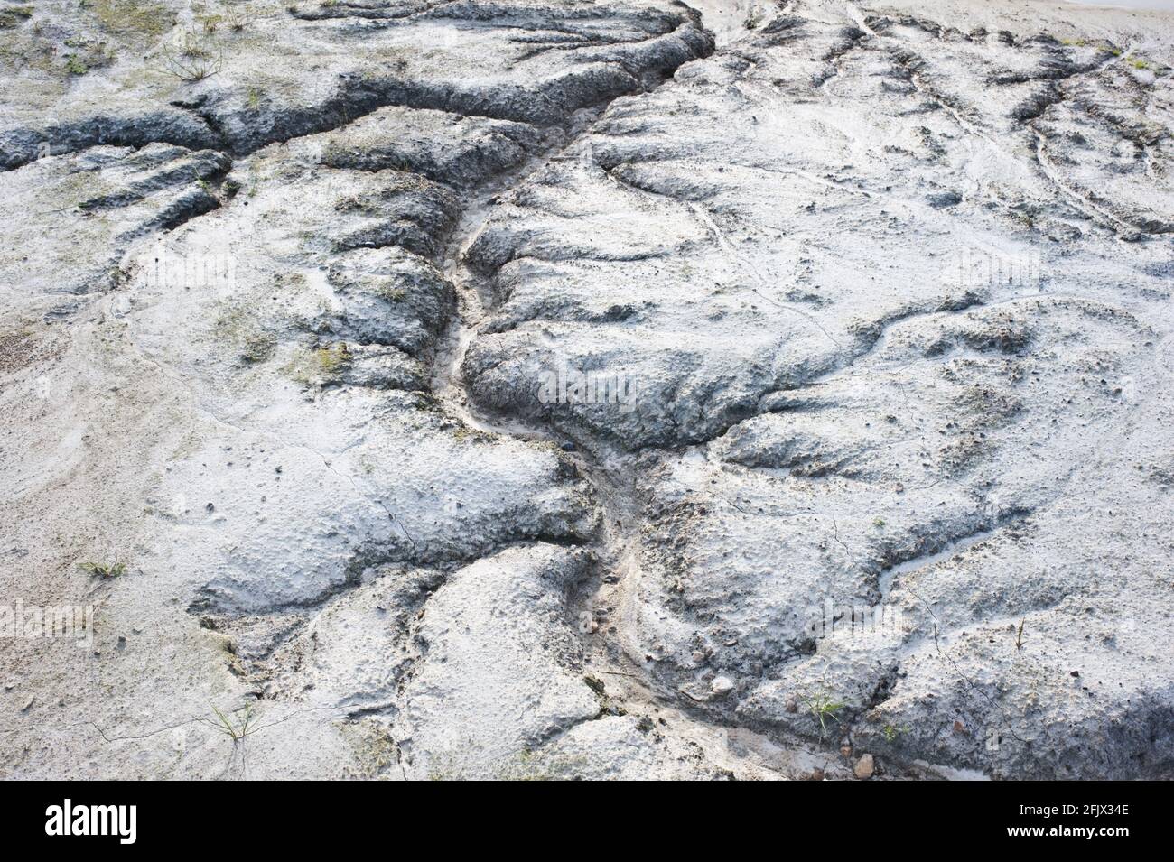 Water carved channels through the soil Stock Photo - Alamy