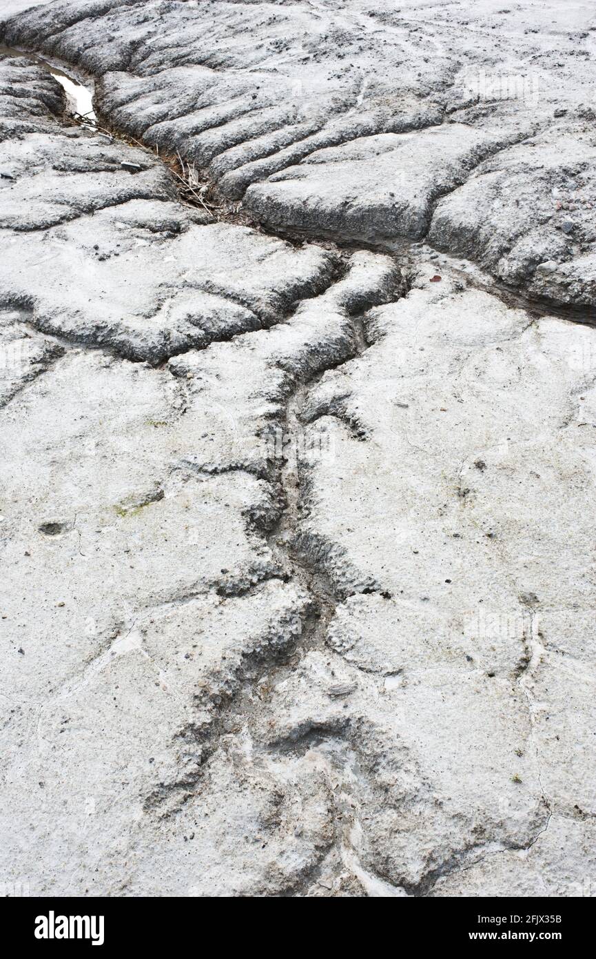 Water carved channels through the soil Stock Photo - Alamy