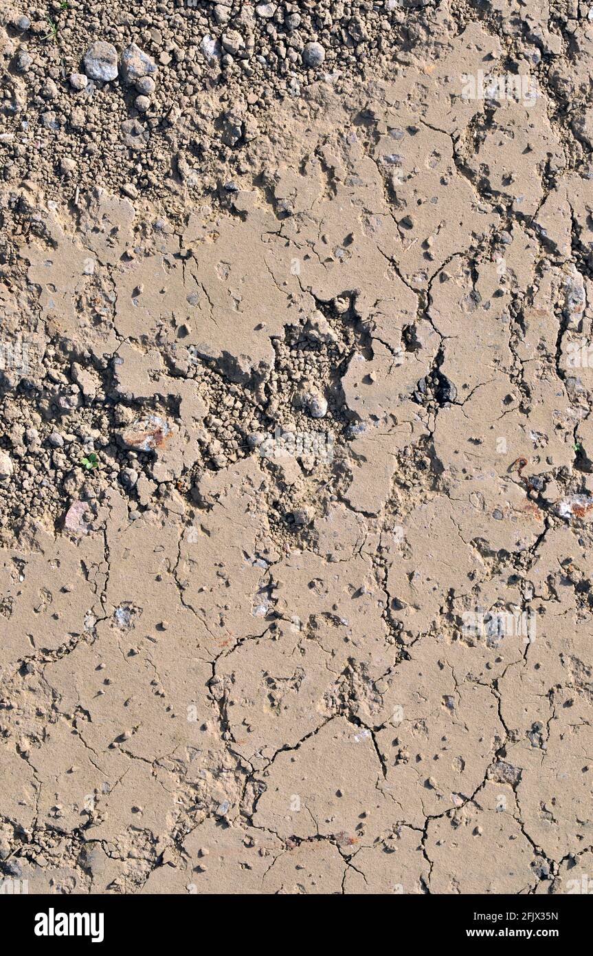 Dryness earth cracked dried out hi-res stock photography and images - Alamy