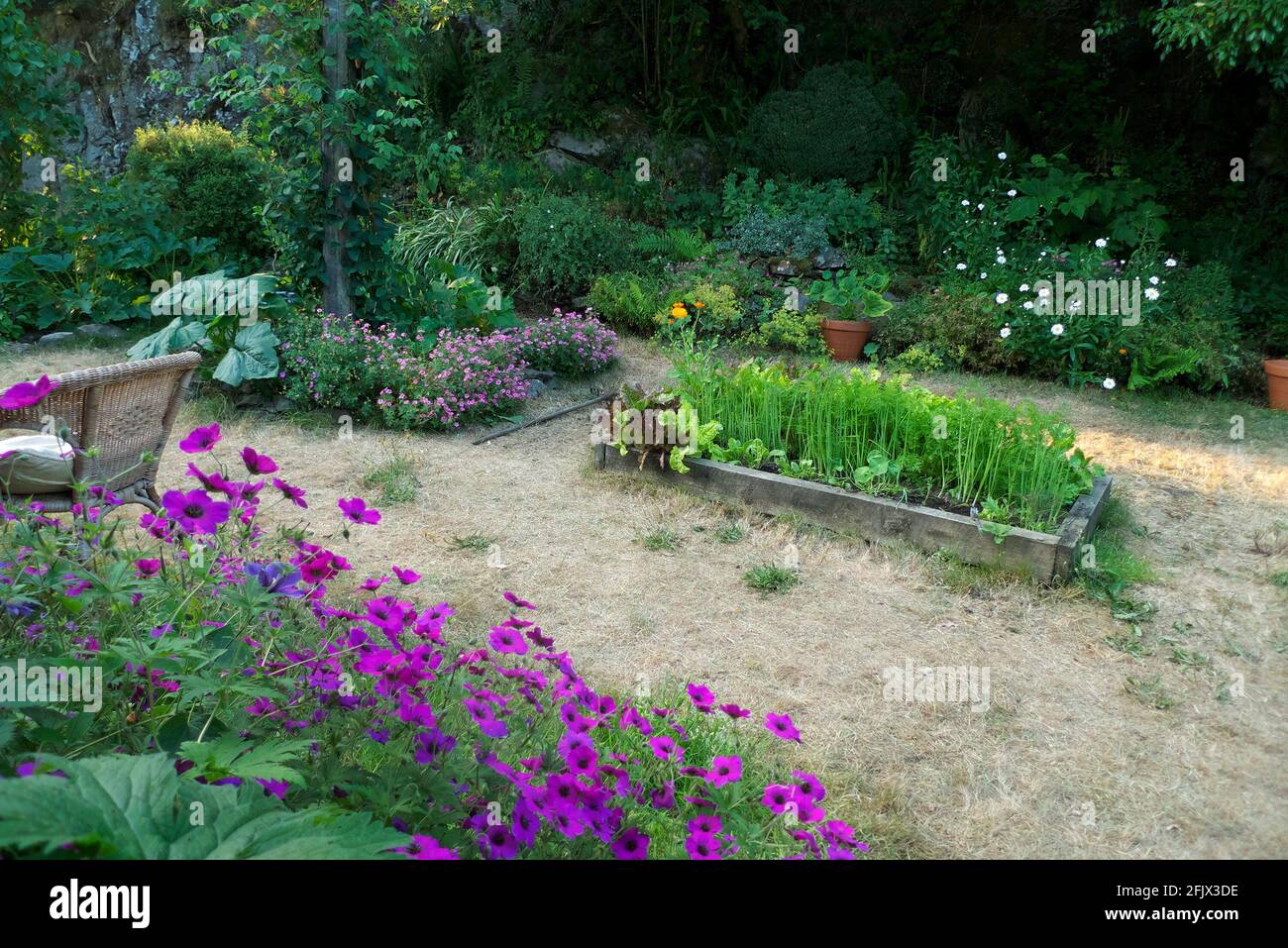 Raised grass hi-res stock photography and images - Alamy