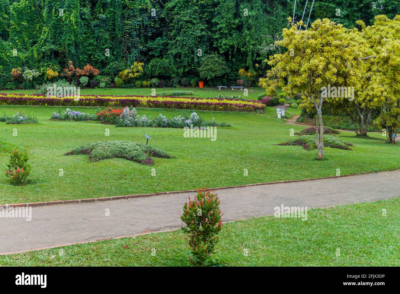 Peradeniya botanical garden hi-res stock photography and images - Alamy
