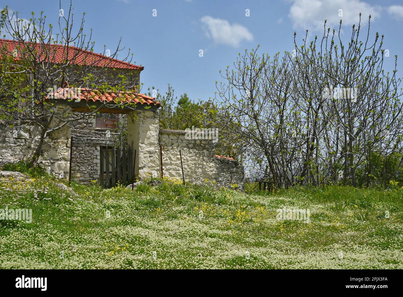Old traditional rural house in the countryside of Palaiochori, a ...