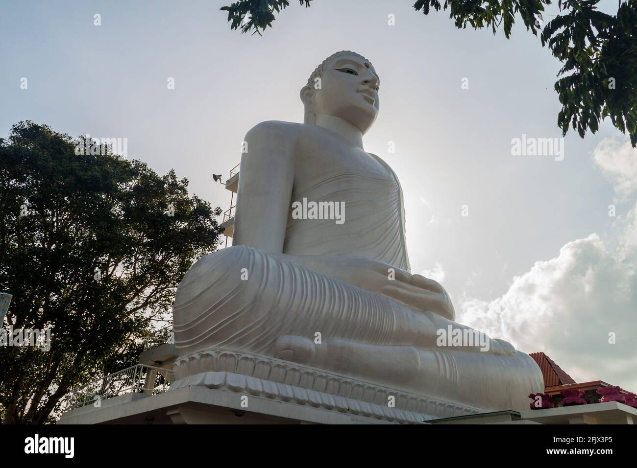 Sri lanka buddha kandy hi-res stock photography and images - Alamy