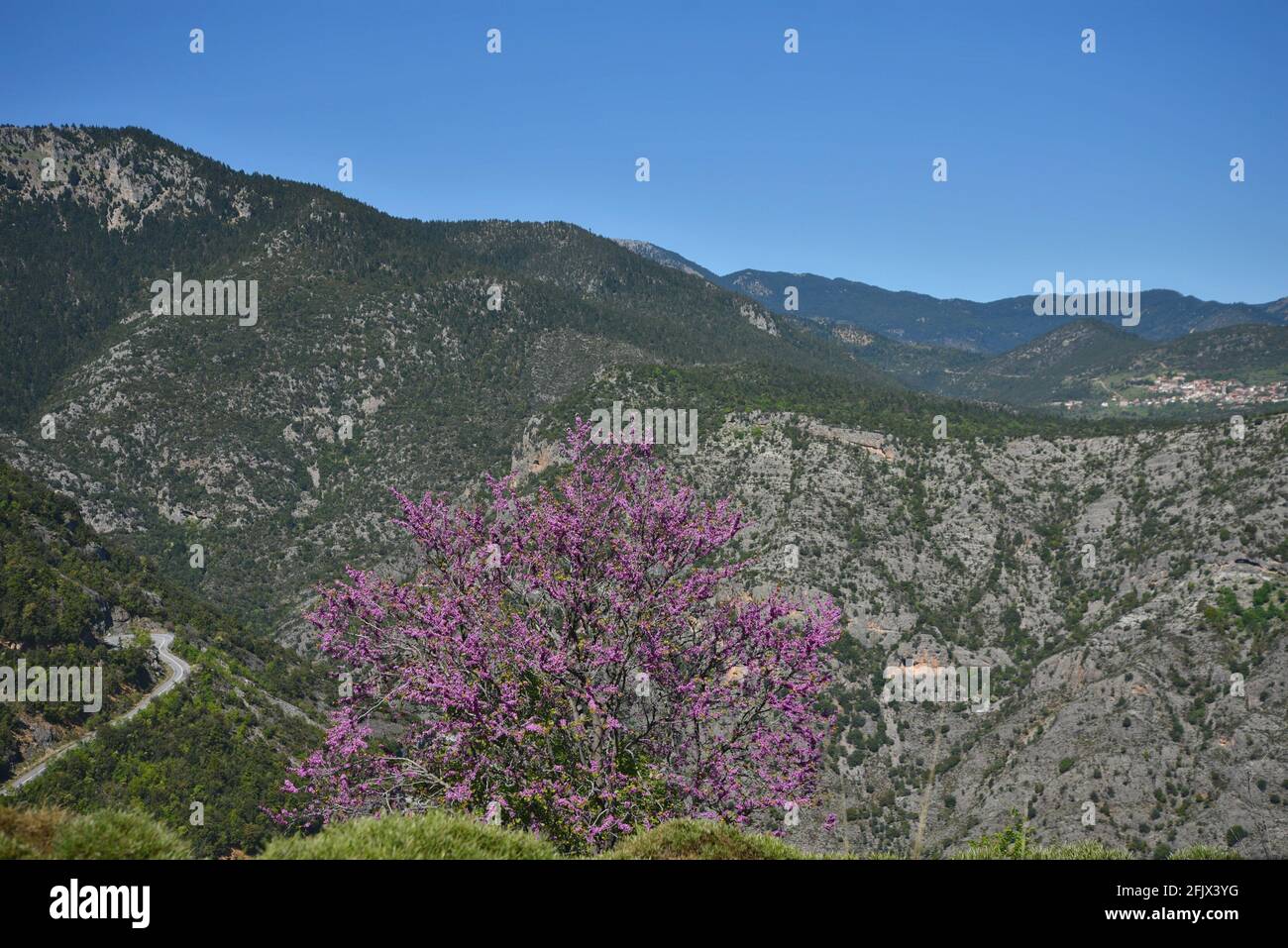 Springtime landscape with panoramic view of Parnon mountain range in ...