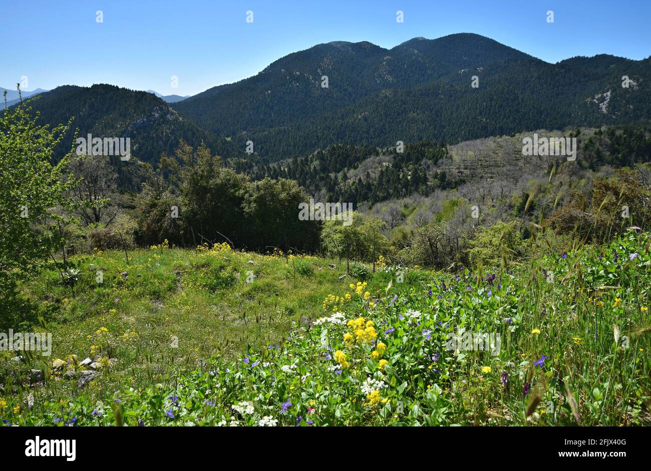 Springtime landscape with panoramic view of Parnon mountain range in ...