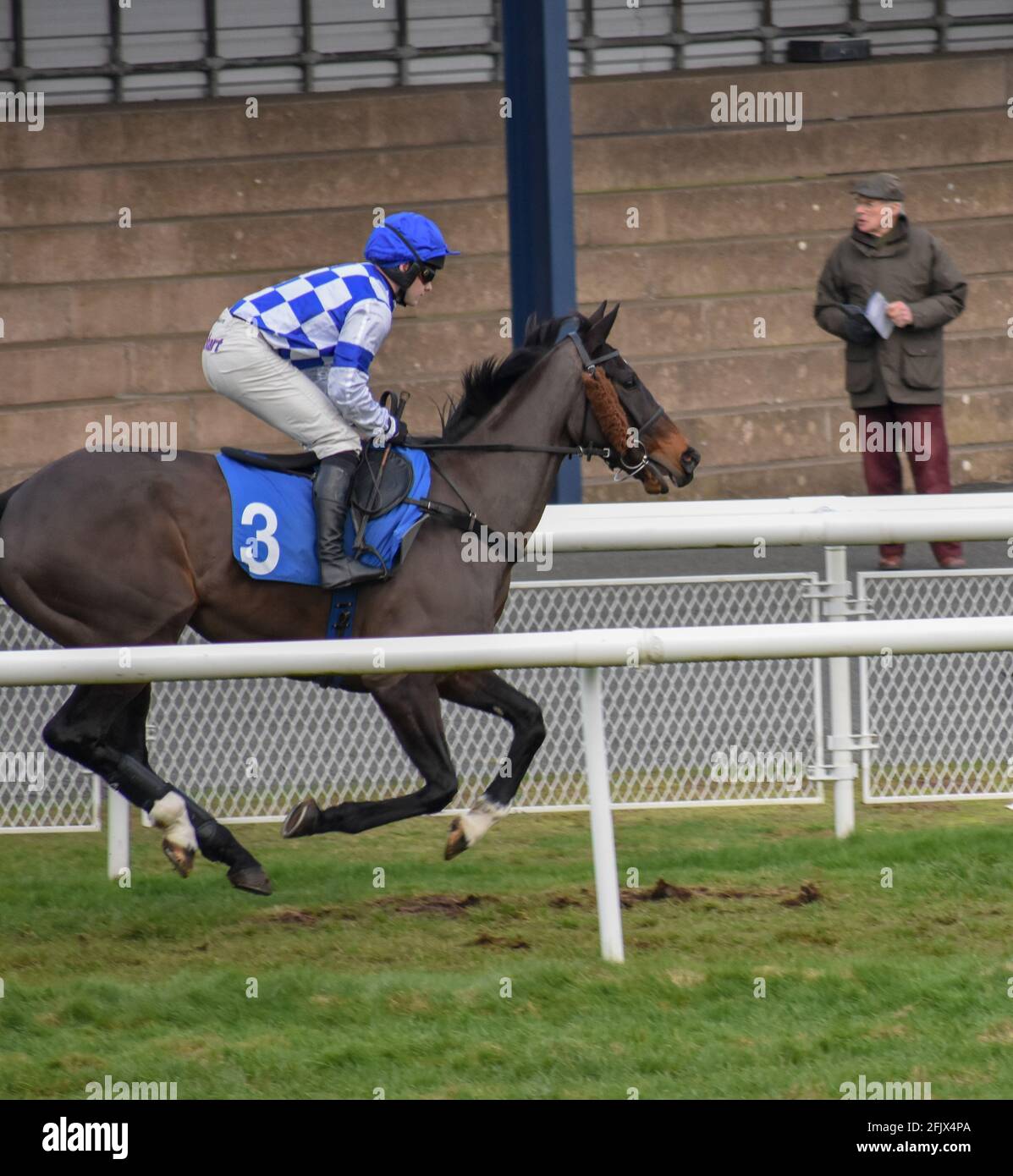 A day at the Races, Ludlow Racecourse in Shropshire Stock Photo - Alamy