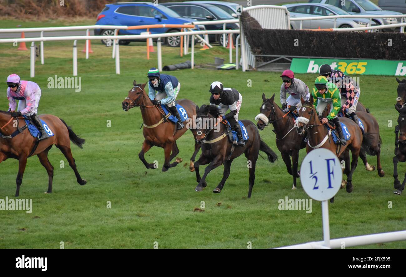 A day at the Races, Ludlow Racecourse in Shropshire Stock Photo - Alamy