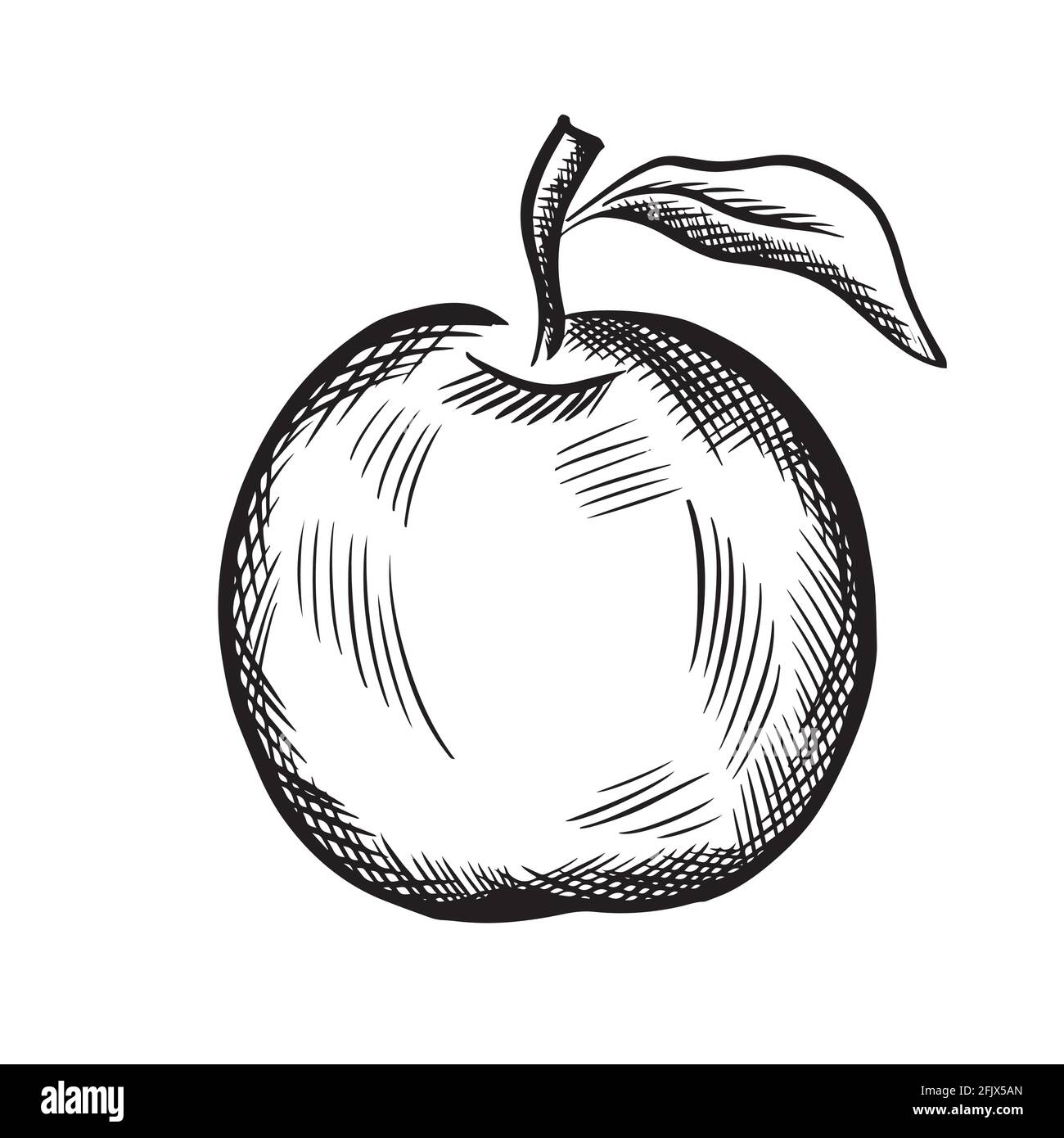The apple object is hatching. Vector illustration Stock Vector Image ...