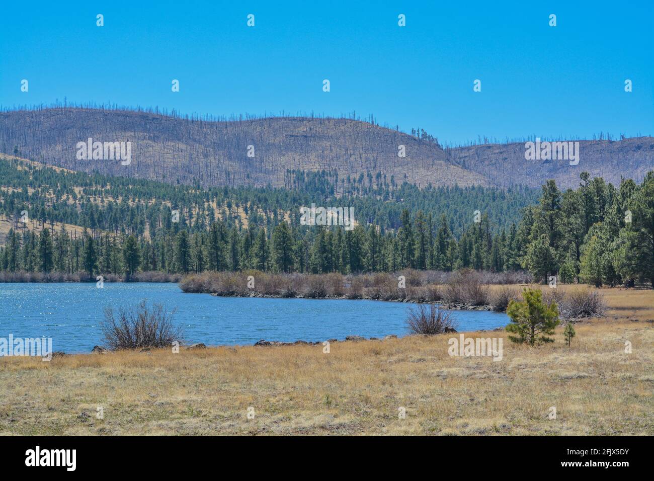 Tunnel Reservoir in the high country of the White Mountains in Greer ...
