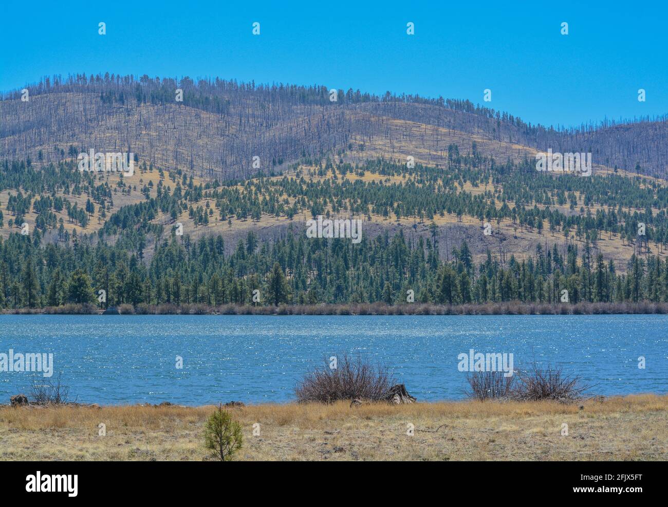 Tunnel Reservoir in the high country of the White Mountains in Greer ...