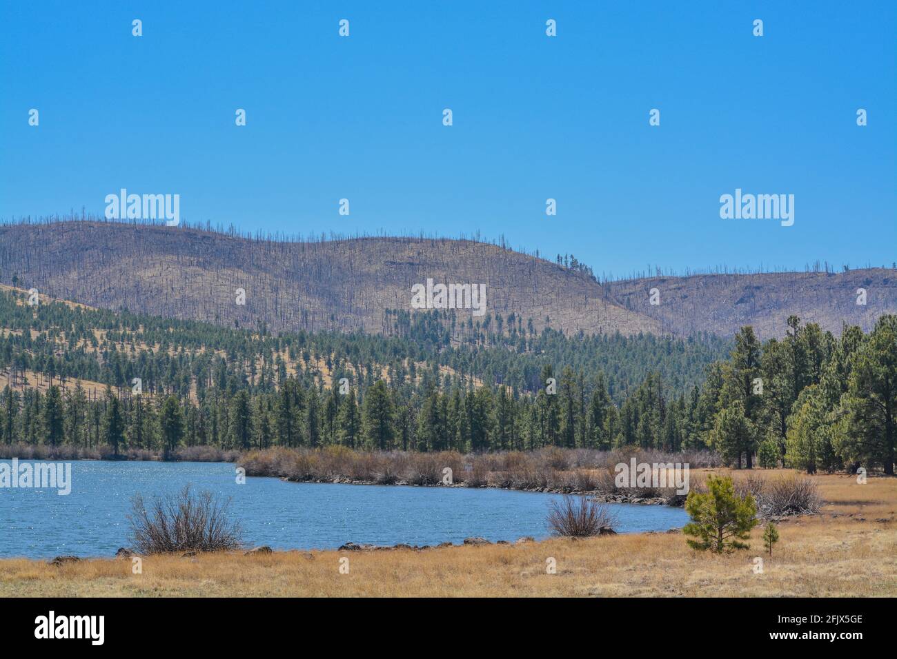 Tunnel Reservoir in the high country of the White Mountains in Greer ...
