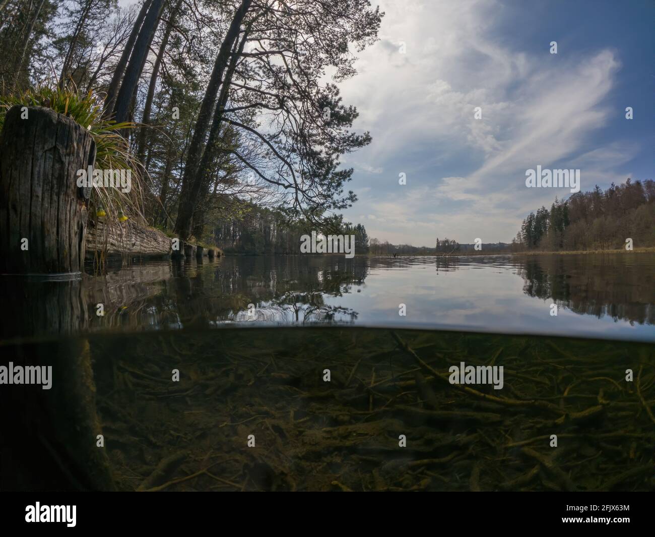 Natural lake underwater view Stock Photo - Alamy