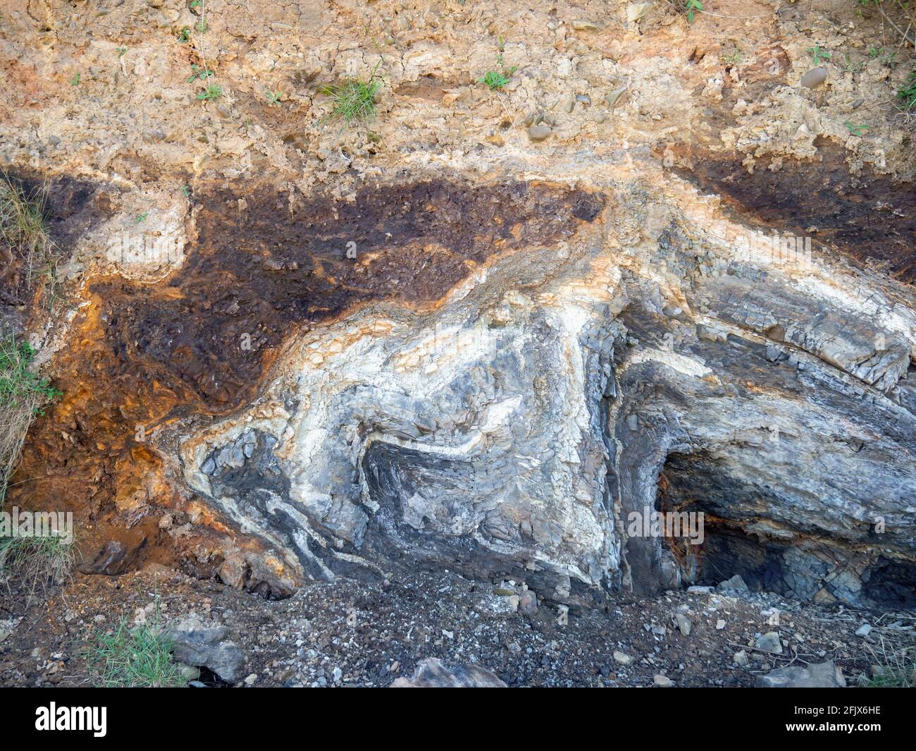 North Devon coast rock - folds, contorted strata. Geology Stock Photo ...