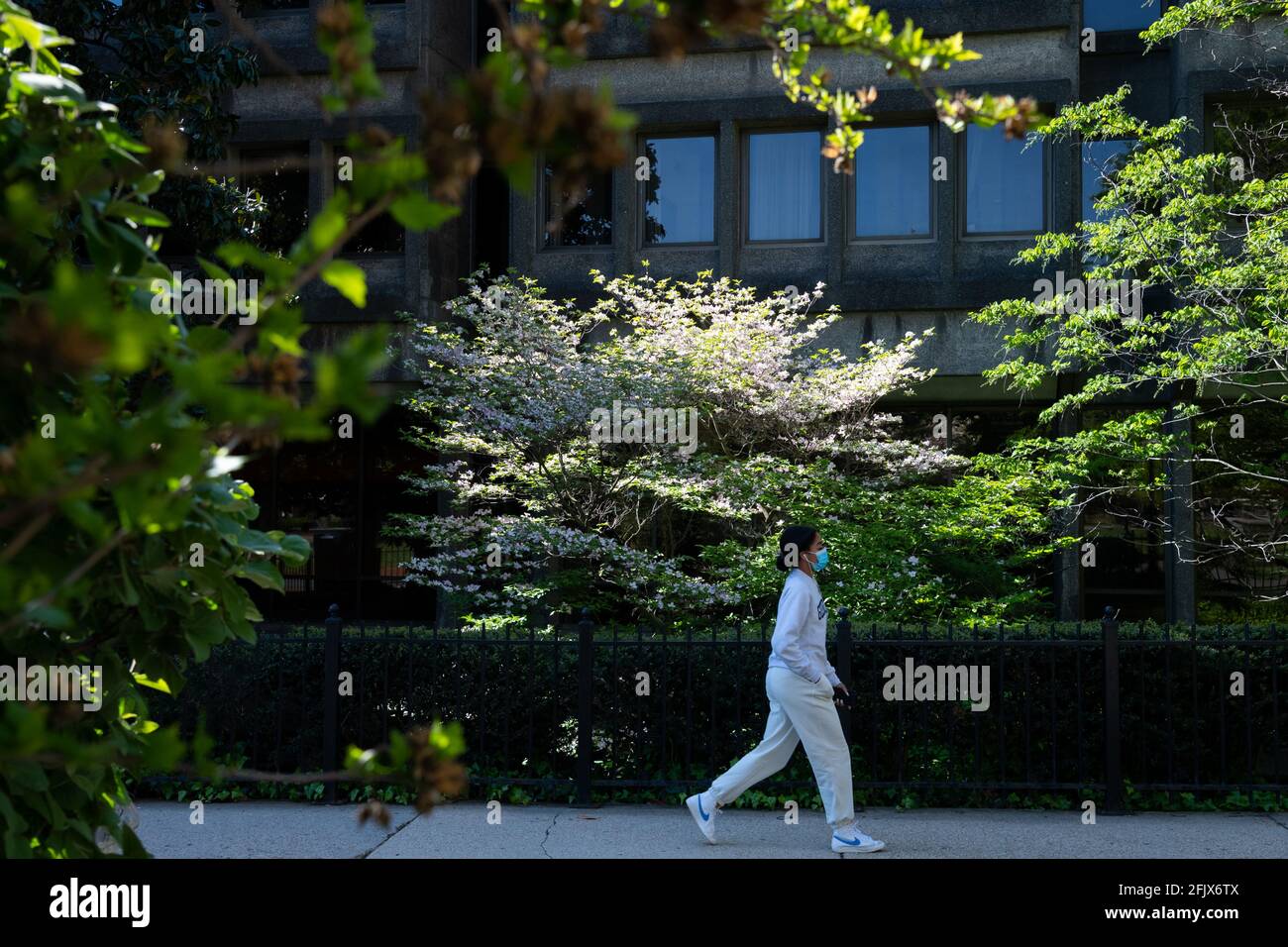 Lauinger library hi-res stock photography and images - Alamy