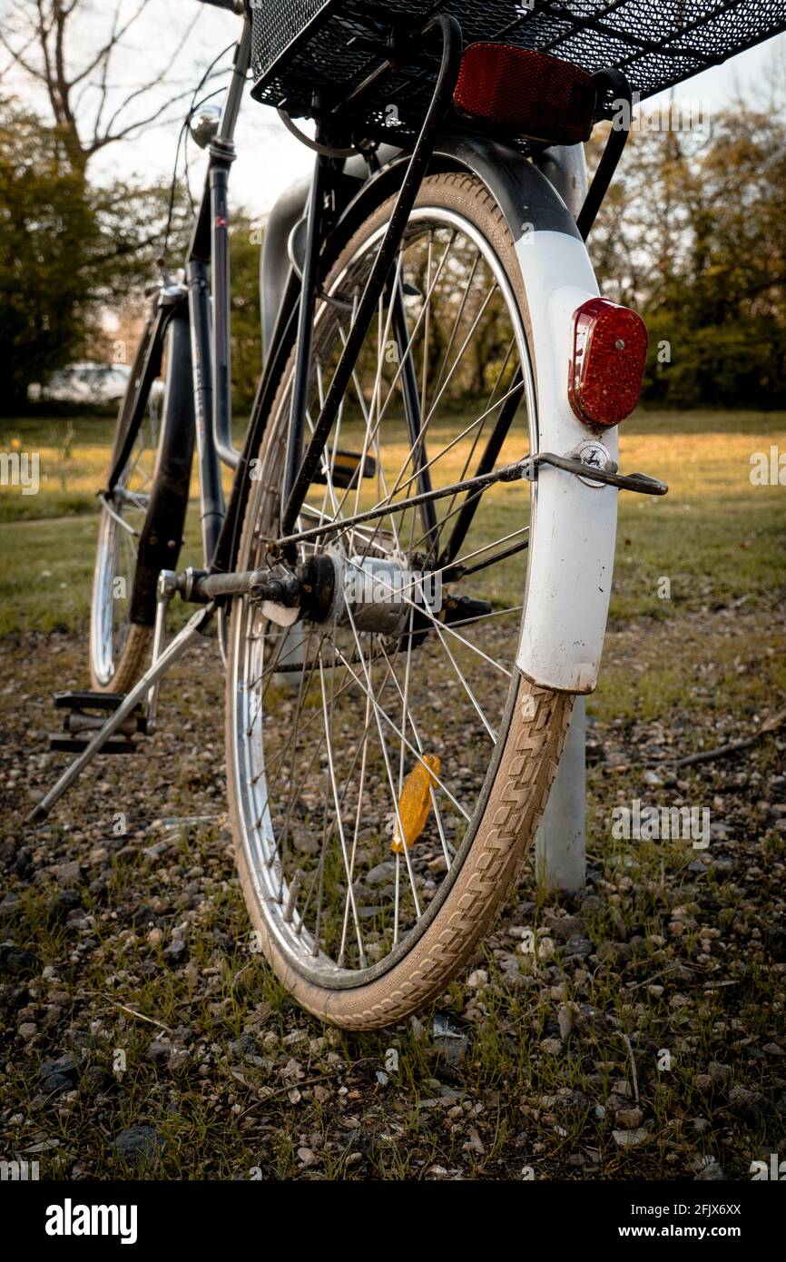 Back view of a two-wheel bicycle in the autumn park Stock Photo - Alamy
