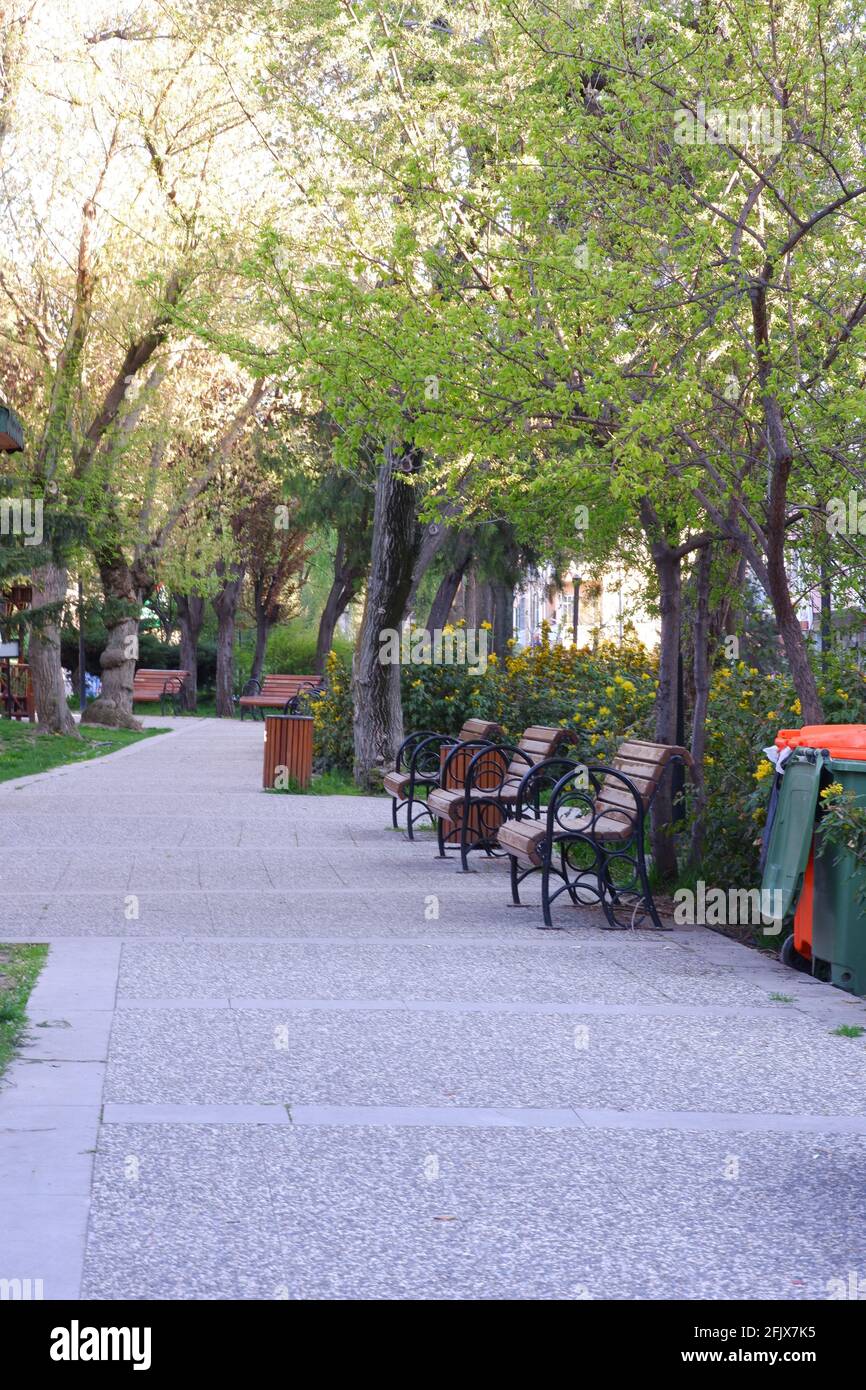 Benches near stone walking way at park in a sunny spring day Stock ...
