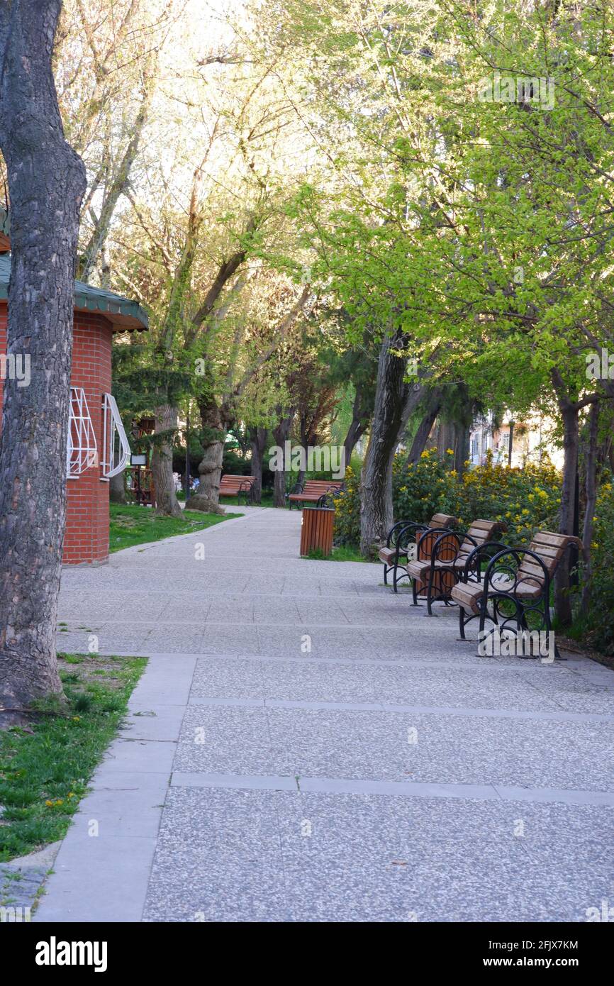 Benches near stone walking way at park in a sunny spring day Stock ...