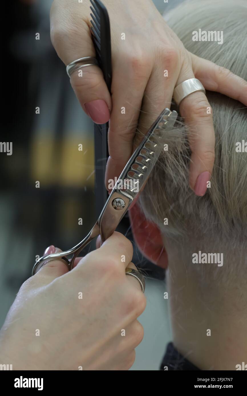 Beautiful hairdresser hands hold scissors and comb and cut the model ...